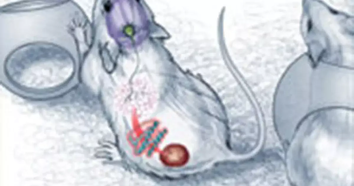Alumnus brings medical illustration expertise to campus | My CCAD Alumnus brings medical illustration expertise to campus | My CCAD
